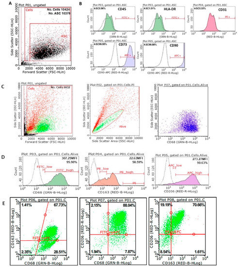Biomolecules | An Open Access Journal from MDPI
