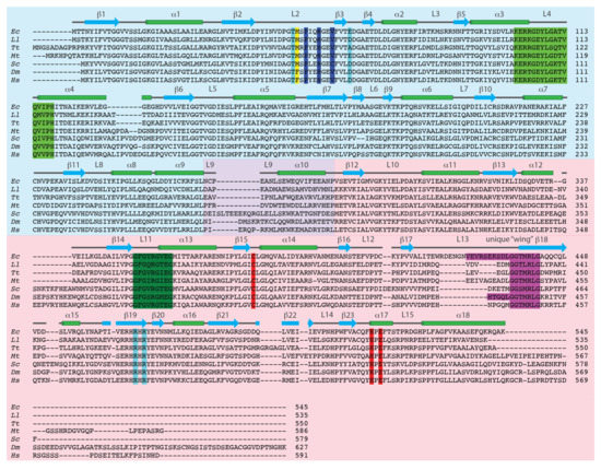 GTP-Dependent Regulation of CTP Synthase: Evolving Insights into ...