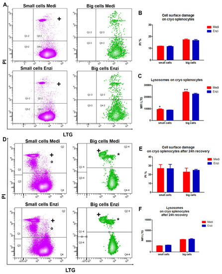 Automated—Mechanical Procedure Compared to Gentle Enzymatic Tissue ...