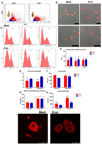 Automated—Mechanical Procedure Compared to Gentle Enzymatic Tissue ...