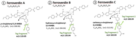 Structure of New Ferroverdins Recruiting Unconventional Ferrous Iron ...