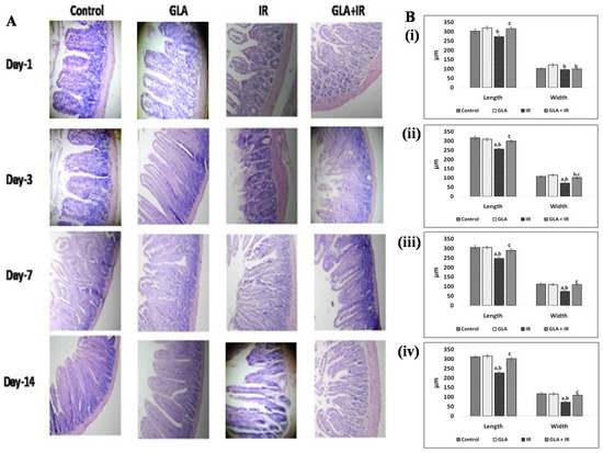 Gamma-Linolenic Acid (GLA) Protects against Ionizing Radiation-Induced ...