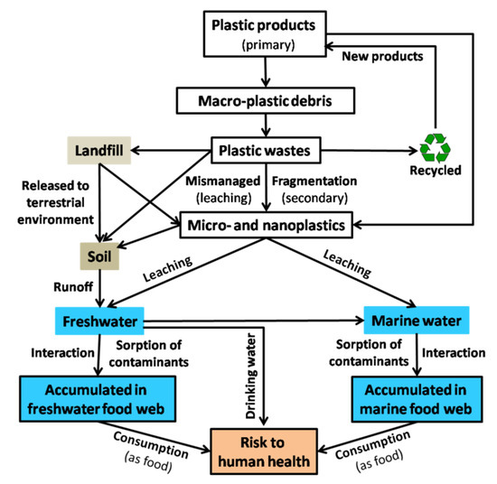 Plastic Interactions with Pollutants and Consequences to Aquatic ...