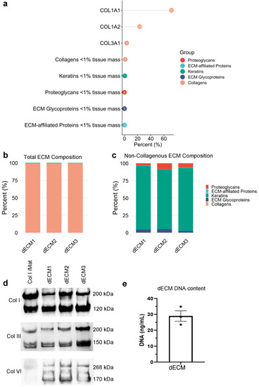 Multi-Scale Analysis of the Composition, Structure, and Function of ...