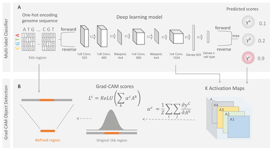 scEpiLock: A Weakly Supervised Learning Framework for cis-Regulatory Element Localization and ...