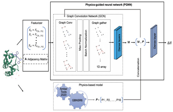 A Physics-Guided Neural Network for Predicting Protein–Ligand Binding ...