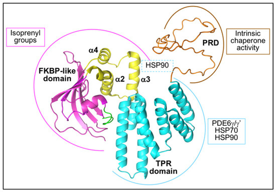 Biomolecules | Special Issue : Hsp90 Structure, Mechanism and Disease