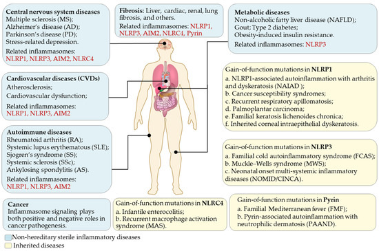 Activation and Pharmacological Regulation of Inflammasomes
