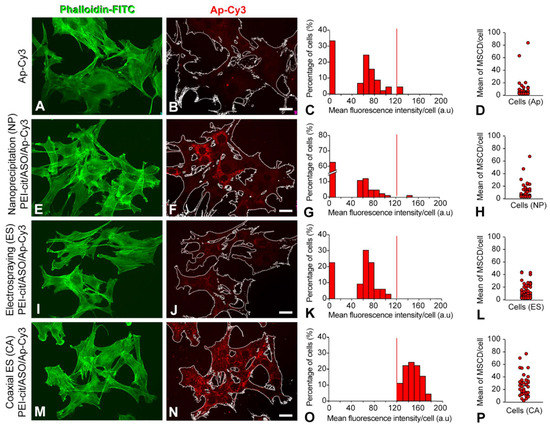 Coaxial Synthesis of PEI-Based Nanocarriers of Encapsulated RNA ...