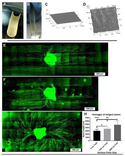 Biomolecules | An Open Access Journal from MDPI