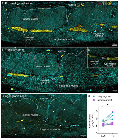 Biomolecules | An Open Access Journal from MDPI