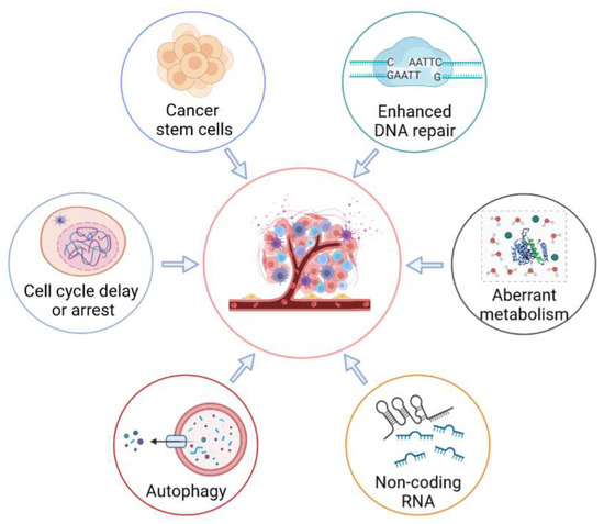 Deciphering the Biological Effects of Radiotherapy in Cancer Cells