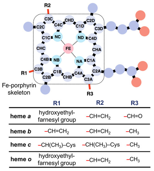 Elucidation of the Correlation between Heme Distortion and Tertiary ...