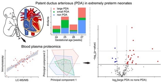 Biomolecules | Free Full-Text | The Patent Ductus Arteriosus in ...