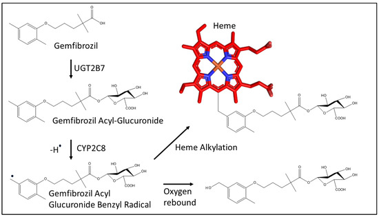 Inhibition of CYP2C8 by Acyl Glucuronides of Gemfibrozil and ...