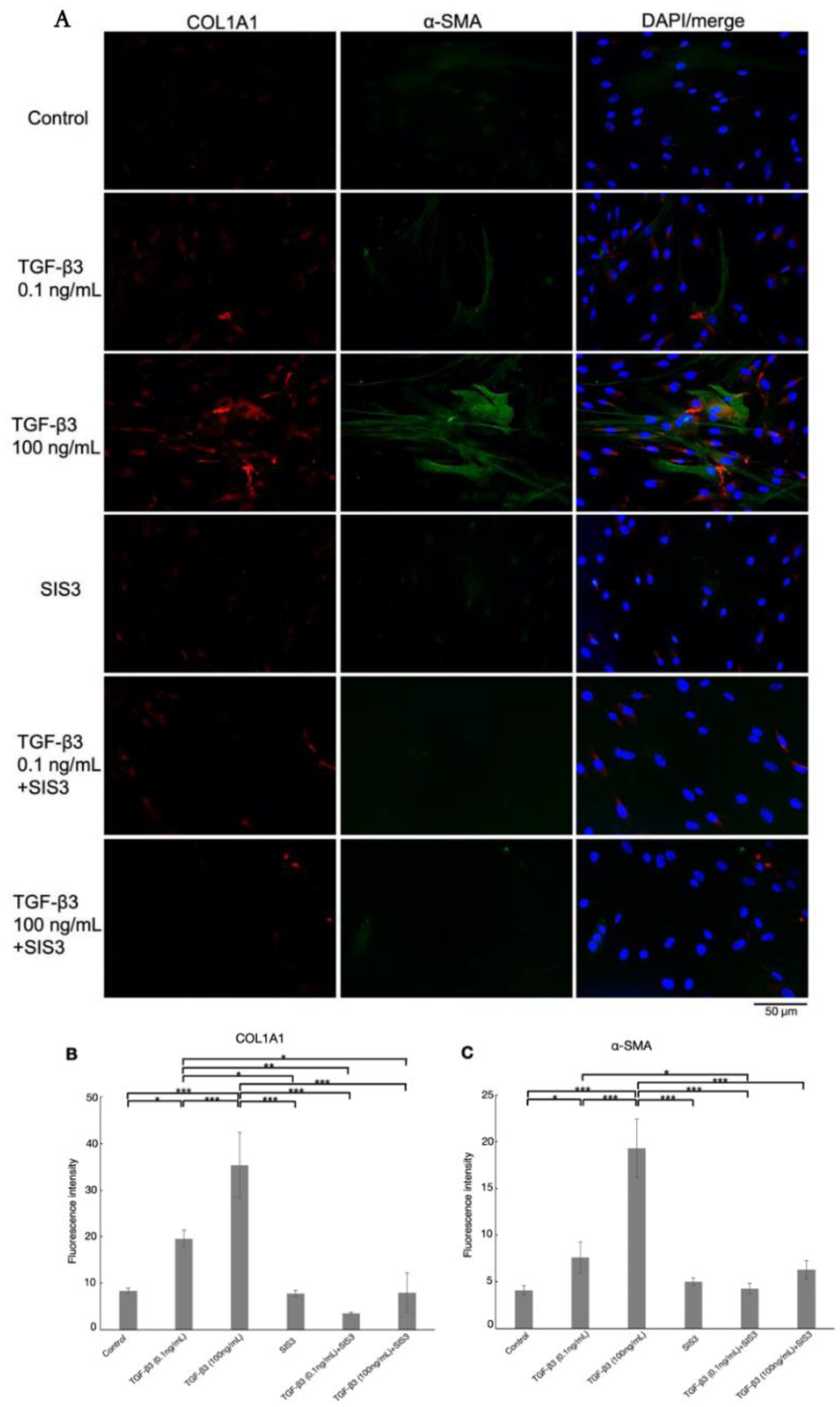 Biomolecules Free Full Text Fibrotic Response Of Human Trabecular