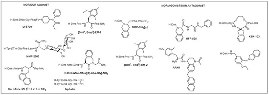 Peptidomimetics and Their Applications for Opioid Peptide Drug Discovery