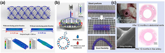 Development of Biodegradable Polymeric Stents for the Treatment of ...