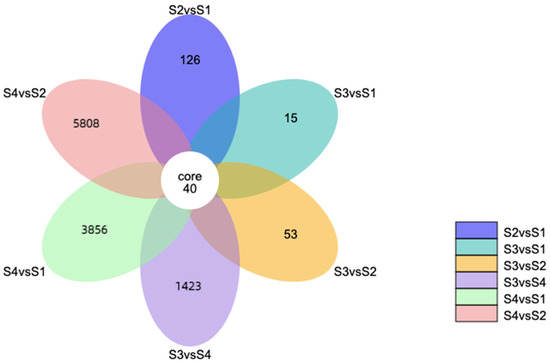 Biomolecules | Free Full-Text | Functional Identification of Arthrinium ...