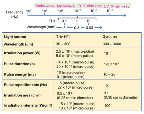 Biomolecules | Free Full-Text | Exploring Biomolecular Self-Assembly ...