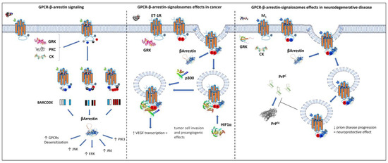 GPCRs in Intracellular Compartments: New Targets for Drug Discovery