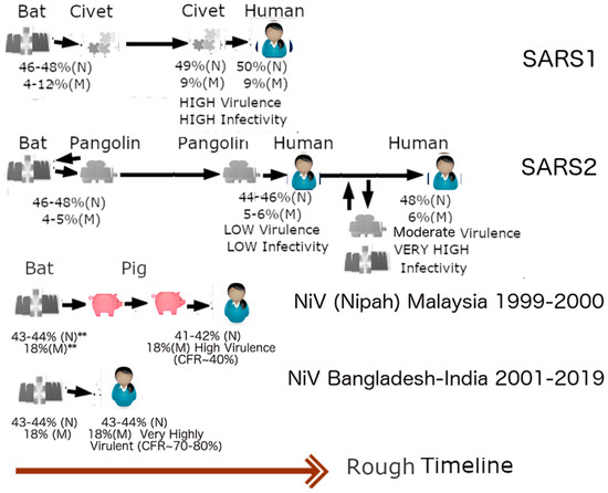 Biomolecules | Free Full-Text | A Study on the Nature of SARS-CoV-2 ...