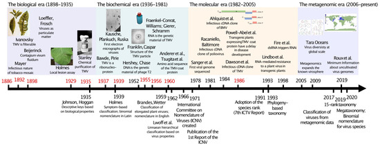 From Contagium vivum fluidum to Riboviria: A Tobacco Mosaic Virus ...