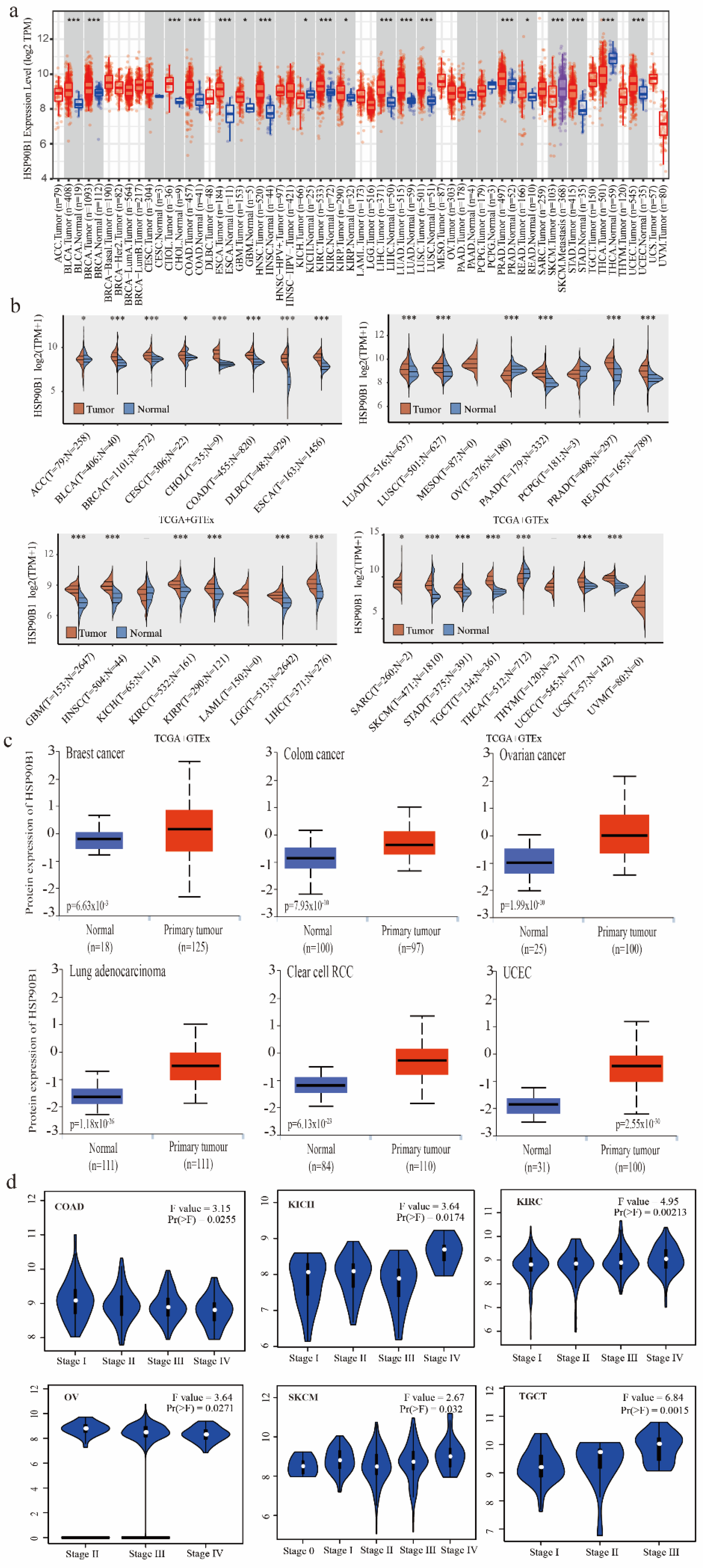 A Pan-Cancer Analysis of Heat-Shock Protein 90 Beta1(HSP90B1) in Human ...
