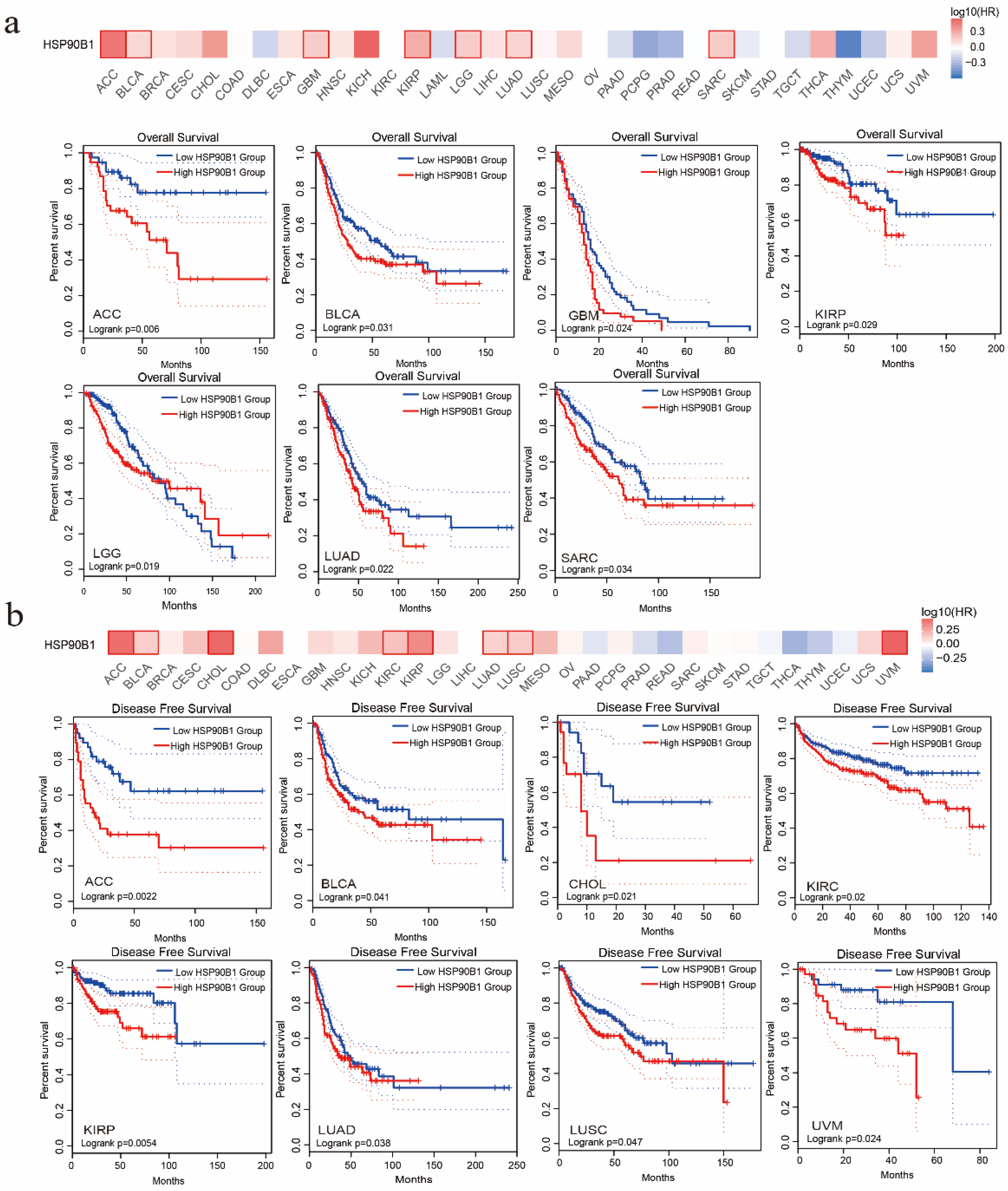 A Pan-Cancer Analysis of Heat-Shock Protein 90 Beta1(HSP90B1) in Human ...