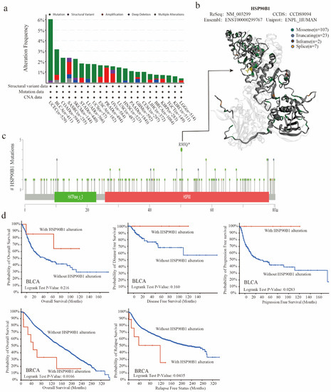 A Pan-Cancer Analysis of Heat-Shock Protein 90 Beta1(HSP90B1) in Human ...