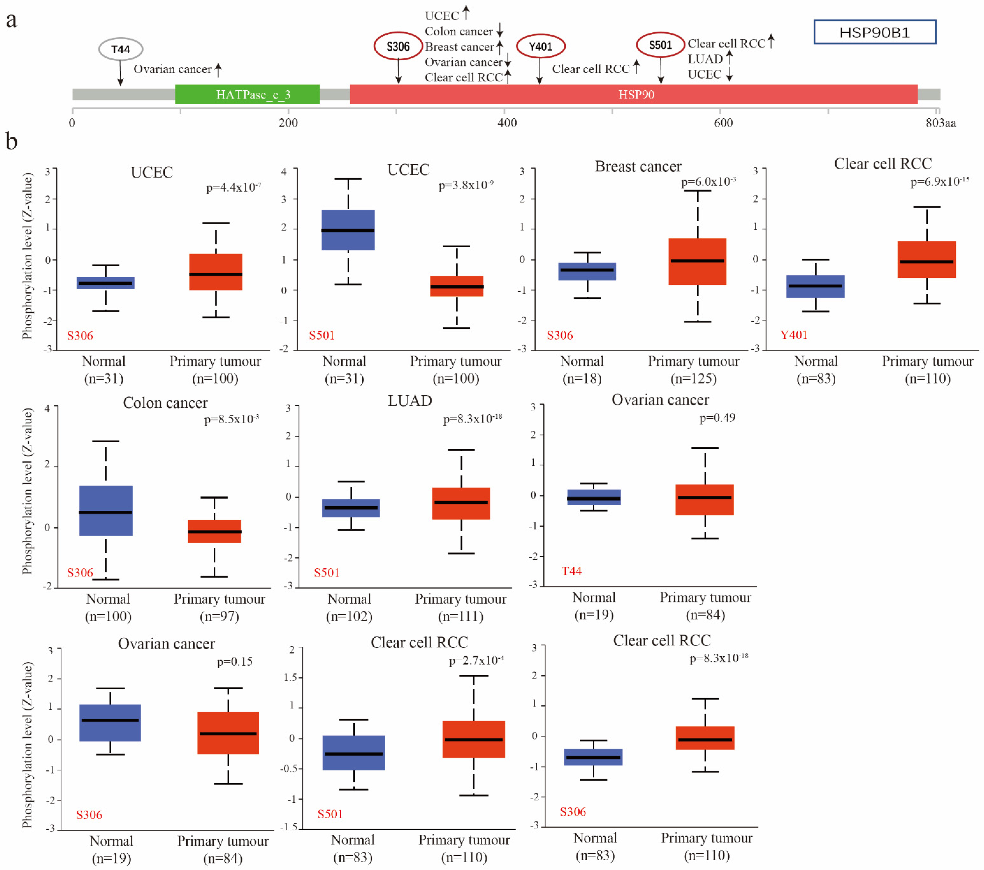 A Pan-Cancer Analysis of Heat-Shock Protein 90 Beta1(HSP90B1) in Human ...