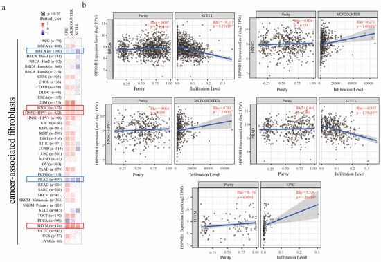 A Pan-Cancer Analysis of Heat-Shock Protein 90 Beta1(HSP90B1) in Human ...