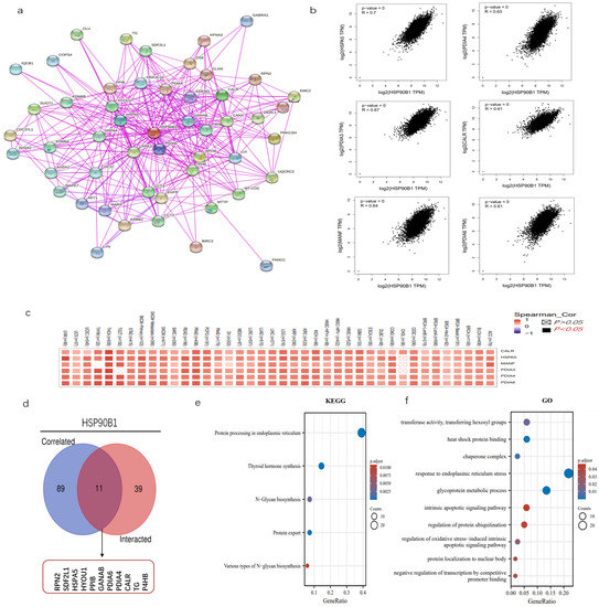 A Pan-Cancer Analysis of Heat-Shock Protein 90 Beta1(HSP90B1) in Human ...