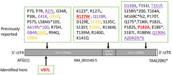 Heterogeneous Clinical Phenotypes of dHMN Caused by Mutation in HSPB1 ...