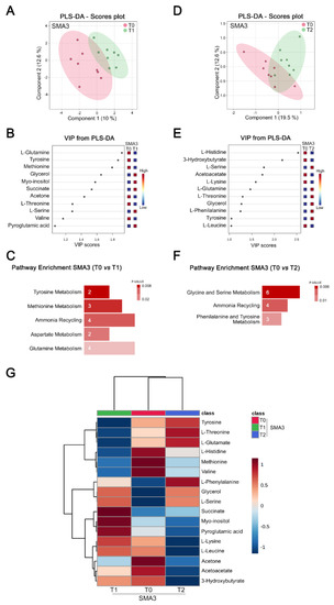 Nusinersen Induces Disease-Severity-Specific Neurometabolic Effects in ...