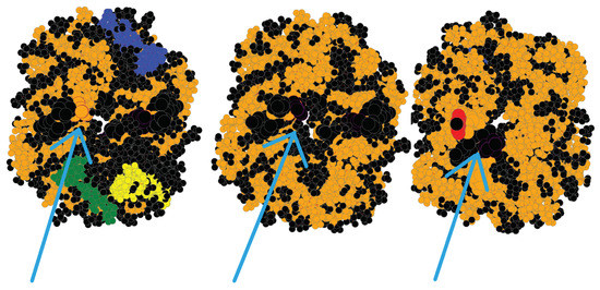 Elucidating the Structural Impacts of Protein InDels