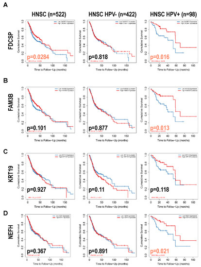 Biomolecules | Free Full-Text | FDCSP Is an Immune-Associated Prognostic Biomarker in HPV ...