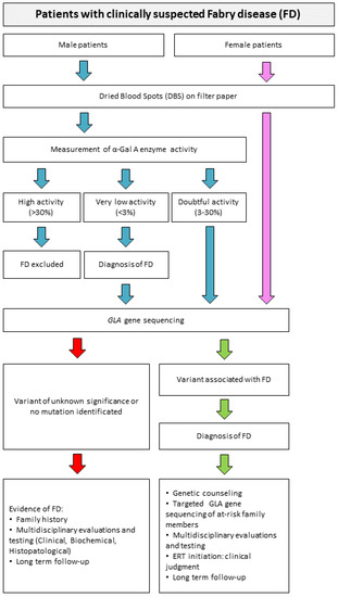 An Overview of Molecular Mechanisms in Fabry Disease