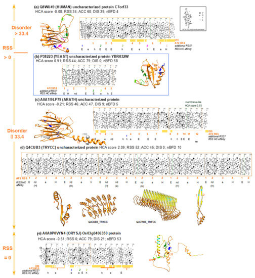 Digging into the 3D Structure Predictions of AlphaFold2 with Low Confidence: Disorder and Beyond