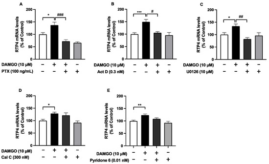 Receptor Transporter Protein 4 (RTP4) in the Hypothalamus Is Involved ...