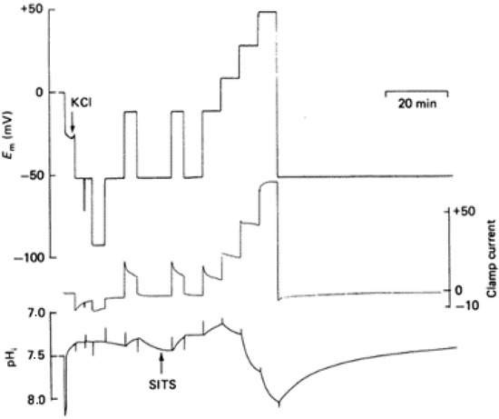 Biomimetic Artificial Proton Channels