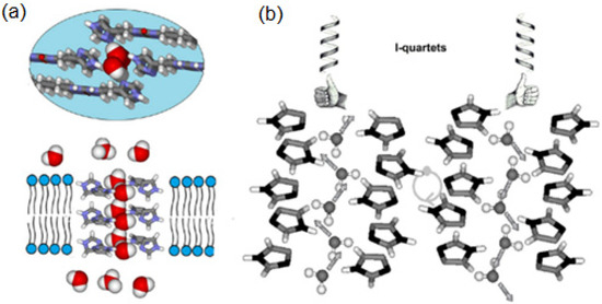 Biomimetic Artificial Proton Channels