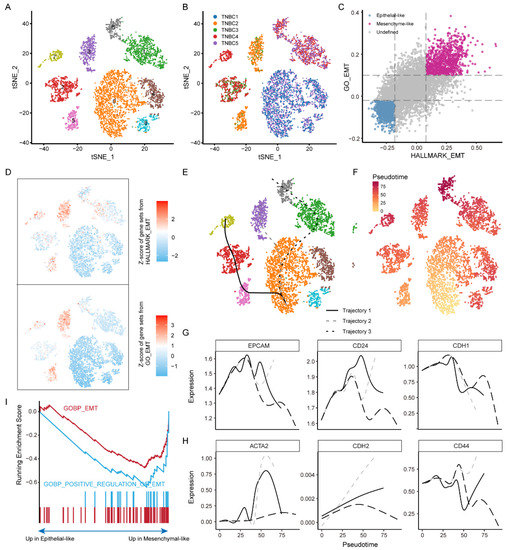 Intercellular Communication Reveals Therapeutic Potential of Epithelial ...