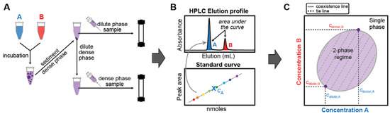 Quantifying Coexistence Concentrations in Multi-Component Phase ...