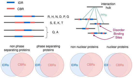 Biomolecules | Free Full-Text | Functional Tuning of Intrinsically ...