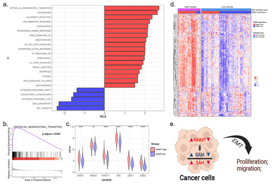 Identification of Biological Functions and Prognostic Value of NNMT in Oral Squamous Cell Carcinoma