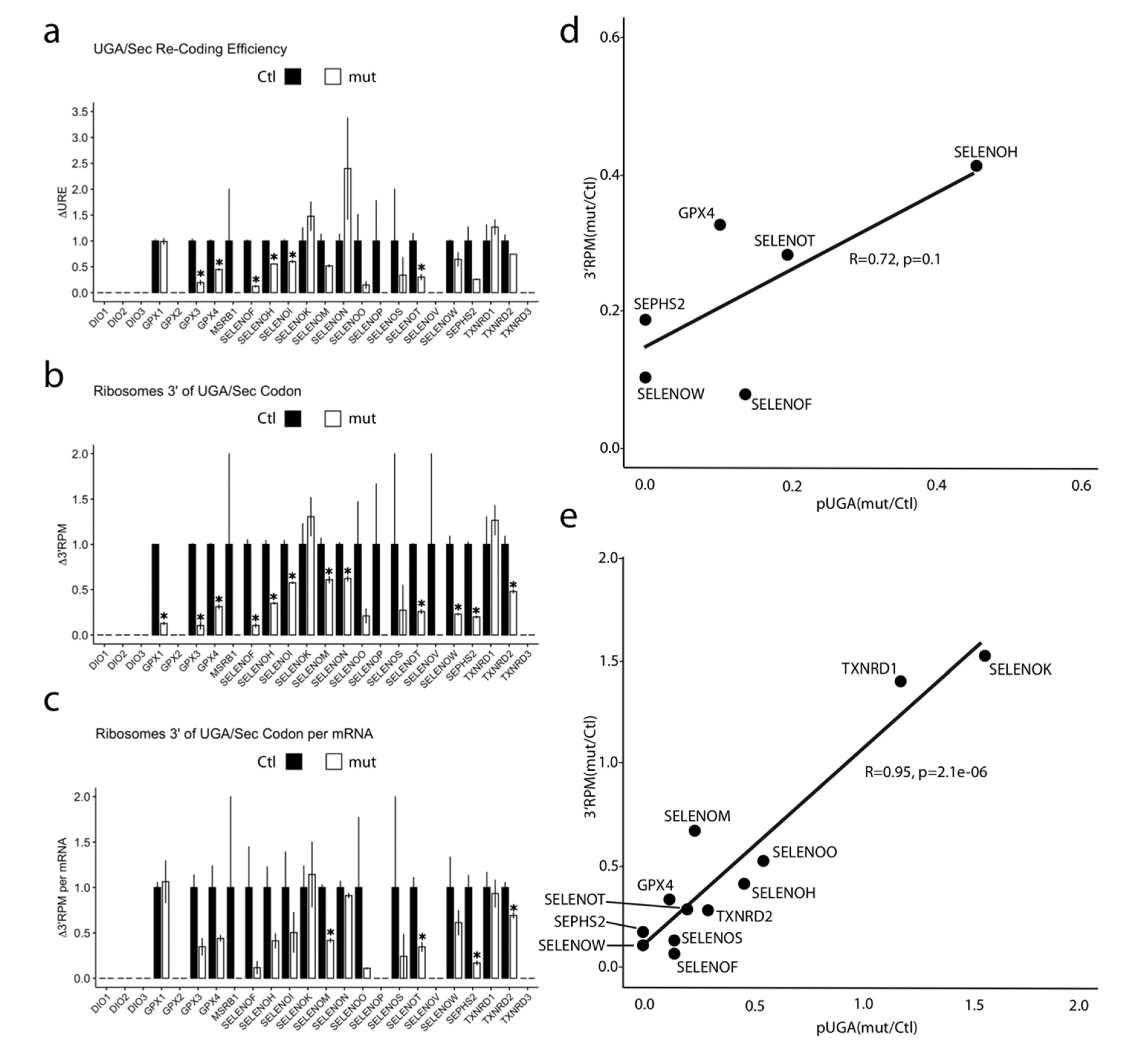 High-Resolution Ribosome Profiling Reveals Gene-Specific Details of UGA ...