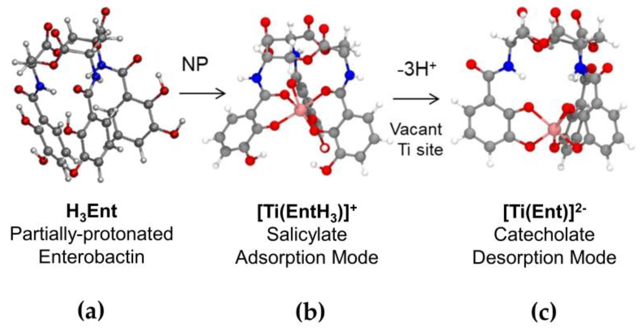 Biomolecules | Free Full-Text | Ligand-Promoted Surface Solubilization ...