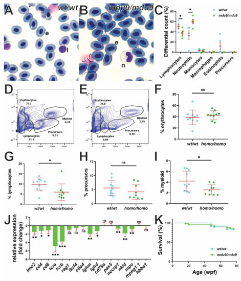 Zebrafish Model of Severe Combined Immunodeficiency (SCID) Due to JAK3 ...
