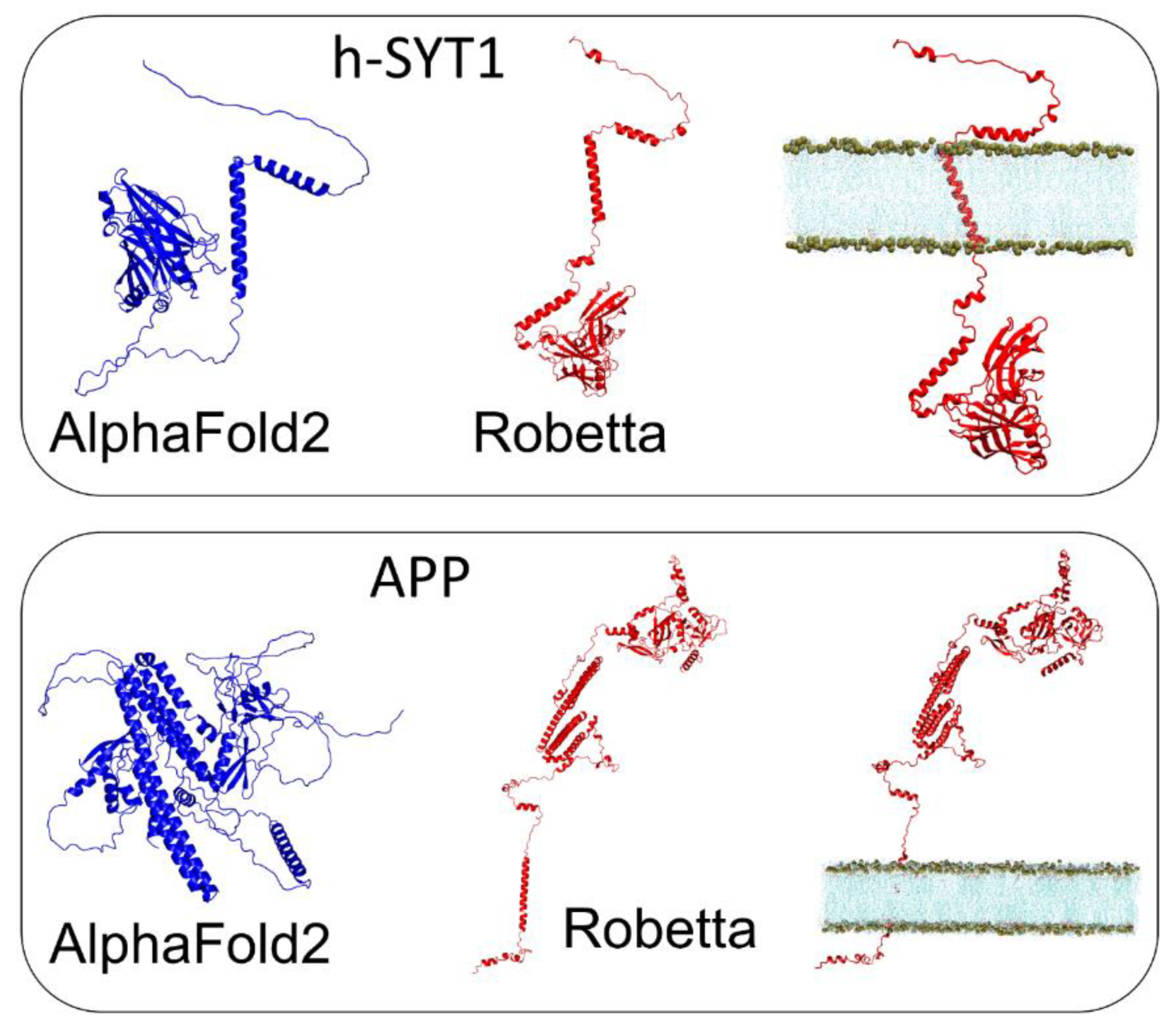 The Epigenetic Dimension of Protein Structure Is an Intrinsic Weakness ...